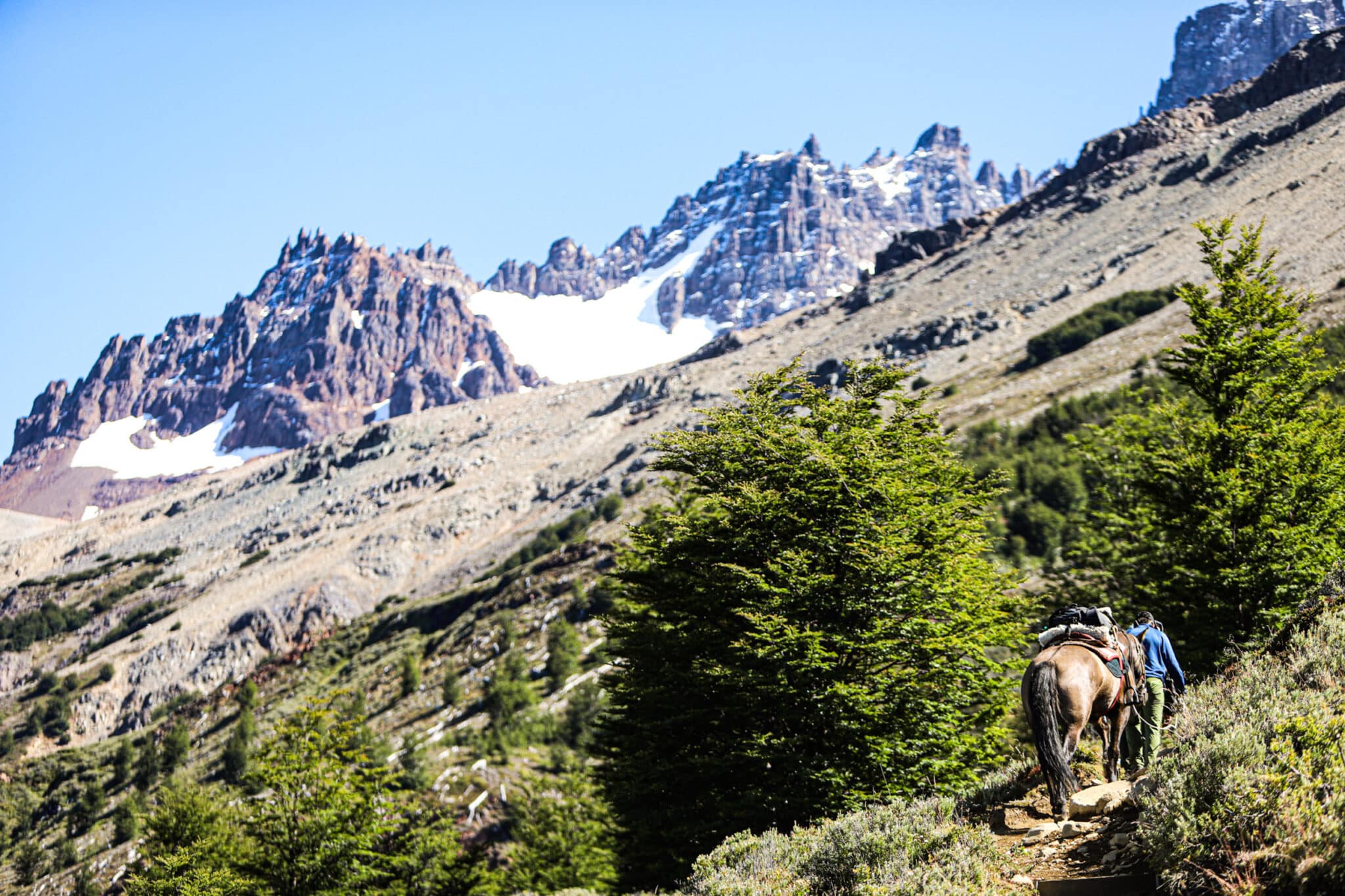 LAGOON CERRO CASTILLO TREK - Tolhuin Expeditions